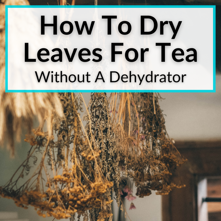 How To Dry Leaves For Tea (Without A Dehydrator)
