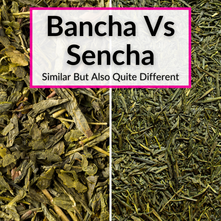 Bancha Vs Sencha (Similar But Also Quite Different)